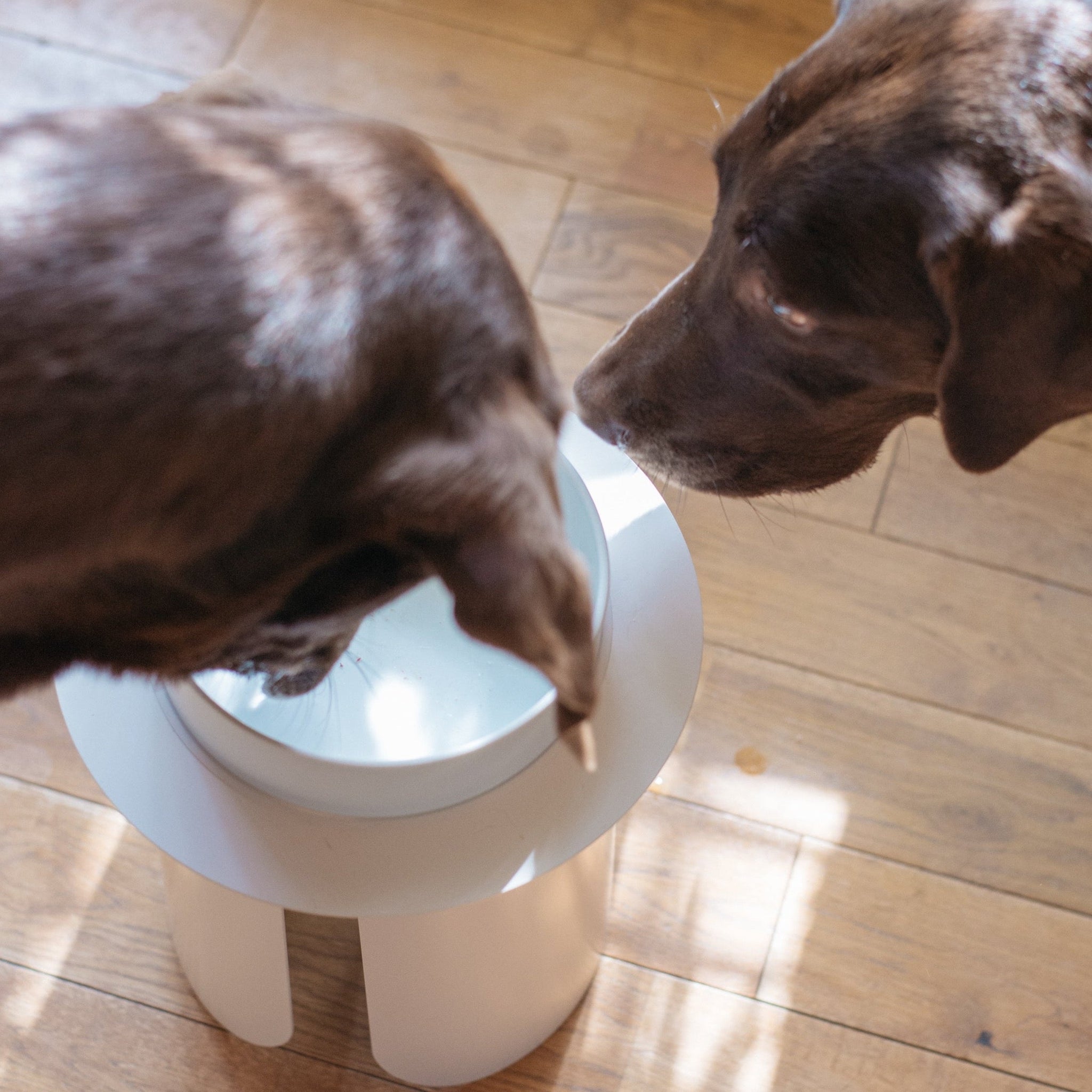 IKIGAI Table– Maison Neros.